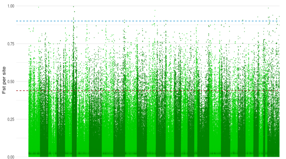 GitHub - DhakadPankaj/Masters-thesis: Detecting signatures of selection