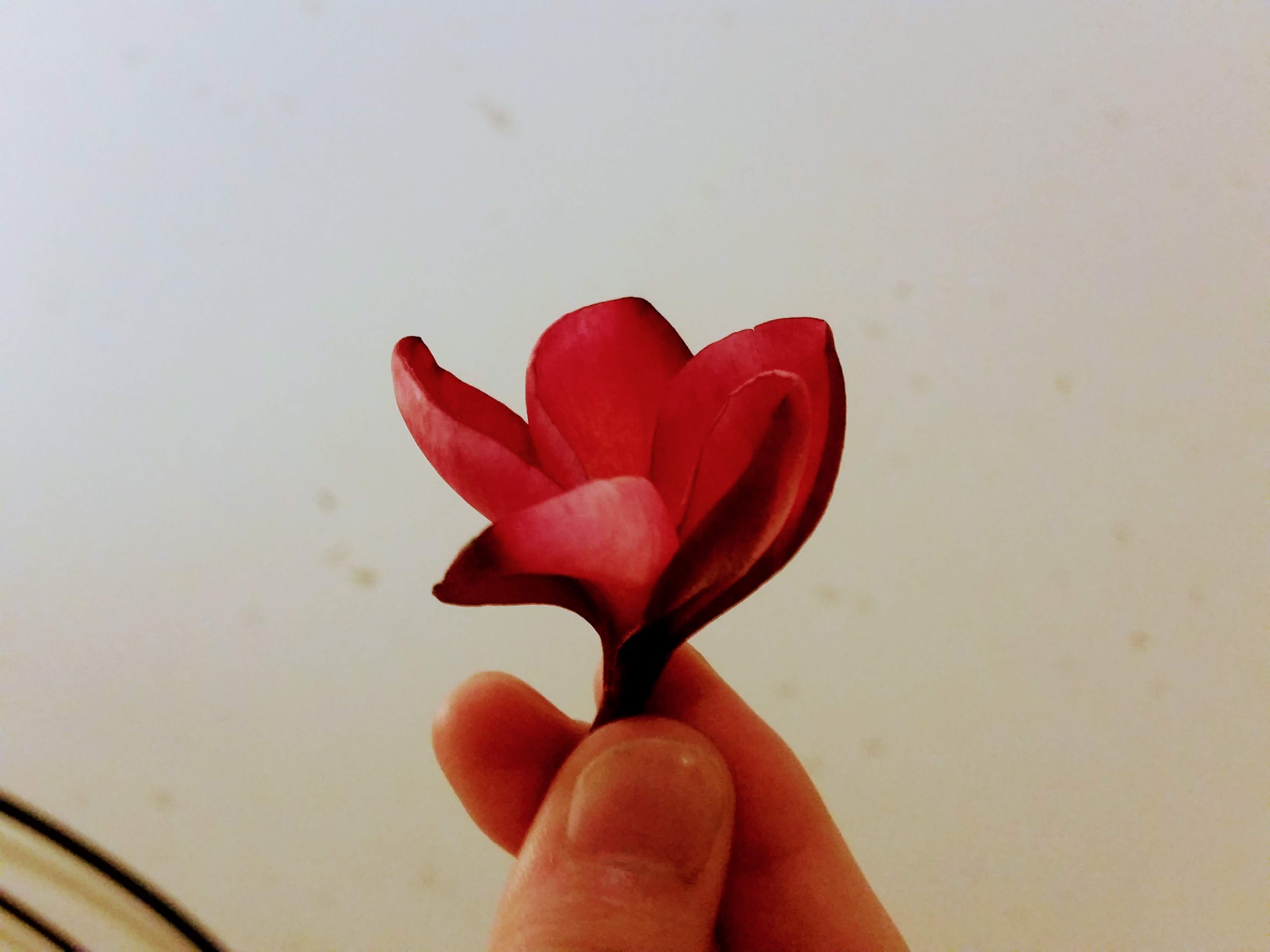 GitHub - gotoyuriko/gotoyuriko: Get to know about Yuriko Goto