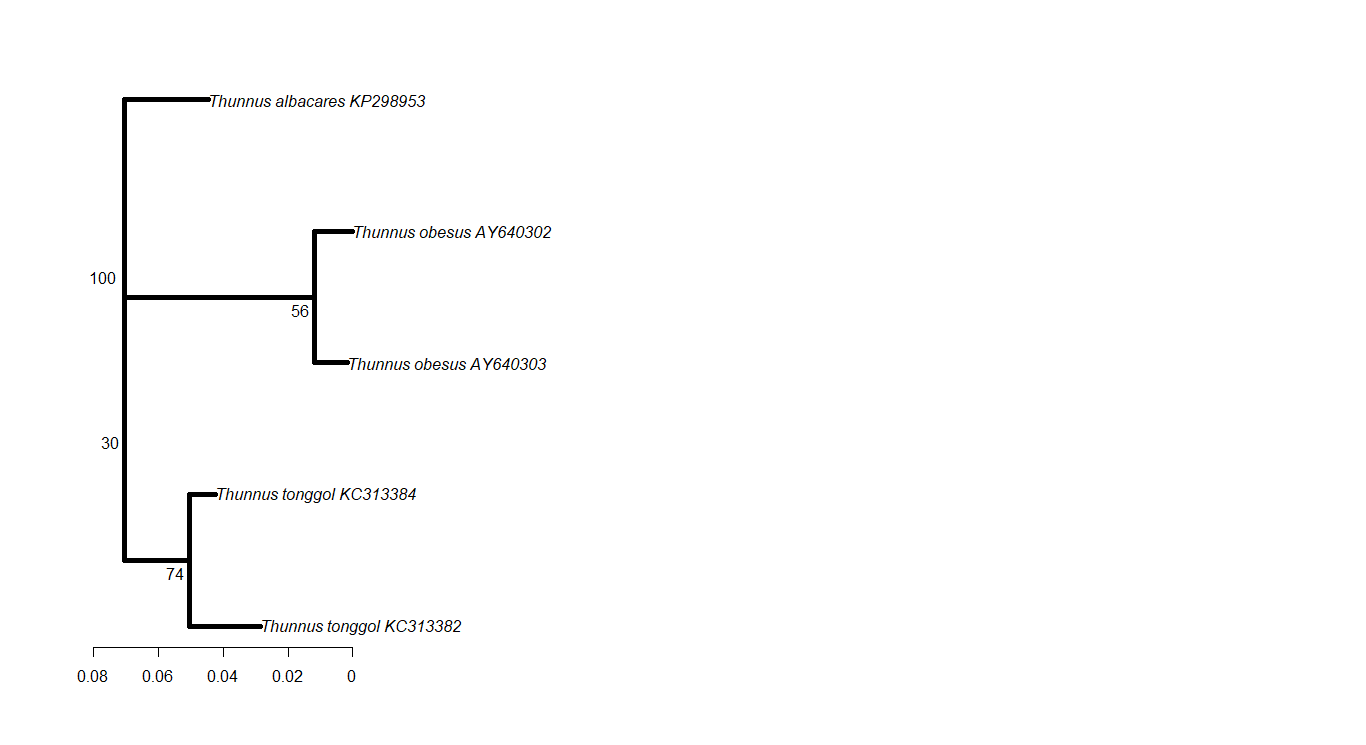 Github Mdaniealmalik Nucleotide Dna Sequence Analysis I Try To Download Nucleotide Sequence