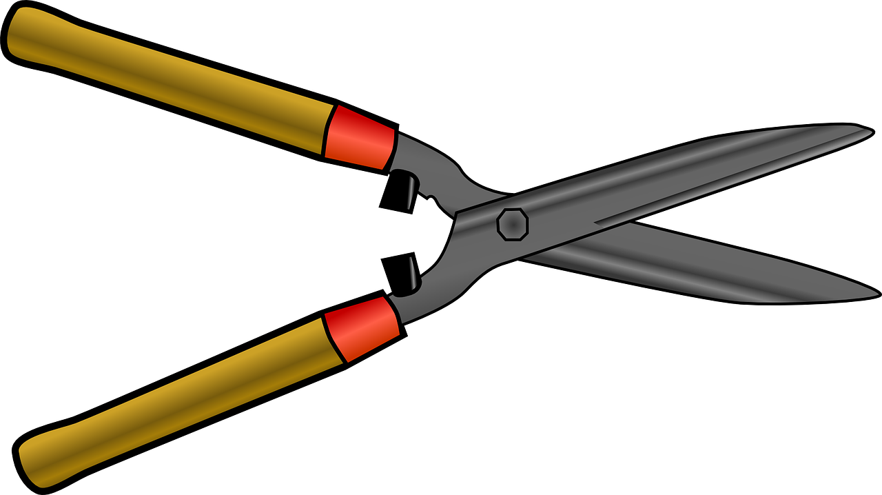 Github Ashish Gehani Trimmer