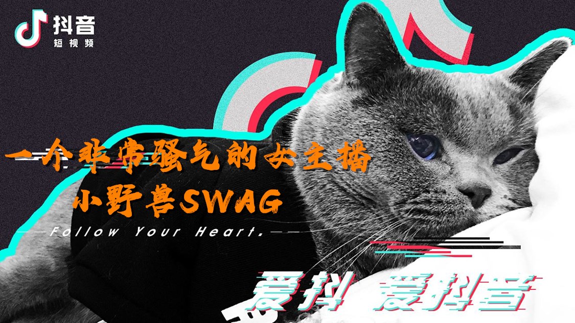 GitHub - 2499343886/-SWAG-VIP: 这是一个测试项目