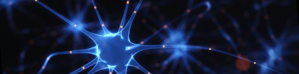 GitHub - CLVR-VFRANCISCO/Vitor-de-Francisco