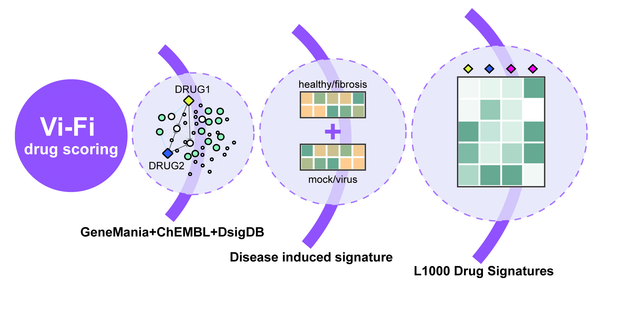 GitHub - CancerCellBiology/Vi-Fi-scoring: Vi-Fi scoring codes
