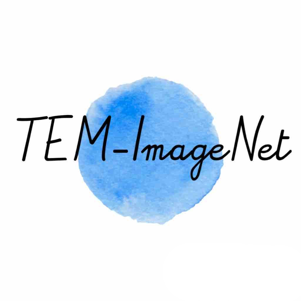 Github Xinhuolin Temimagenet Github Io