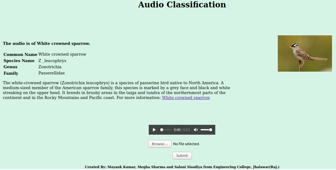 GitHub - m36h4/Live-Prediction-of-Bird-Species-via-Audio: A webpage ...