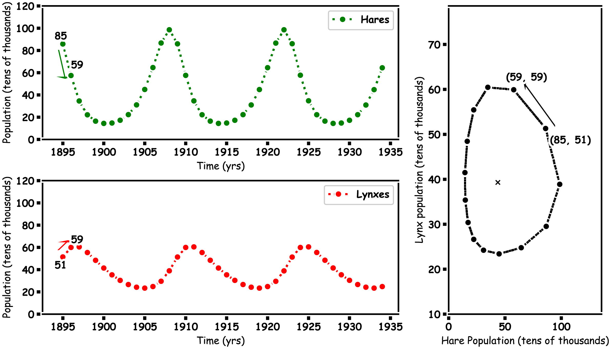 GitHub - john-s-butler-dit/Predator-Prey-for-Young-Minds