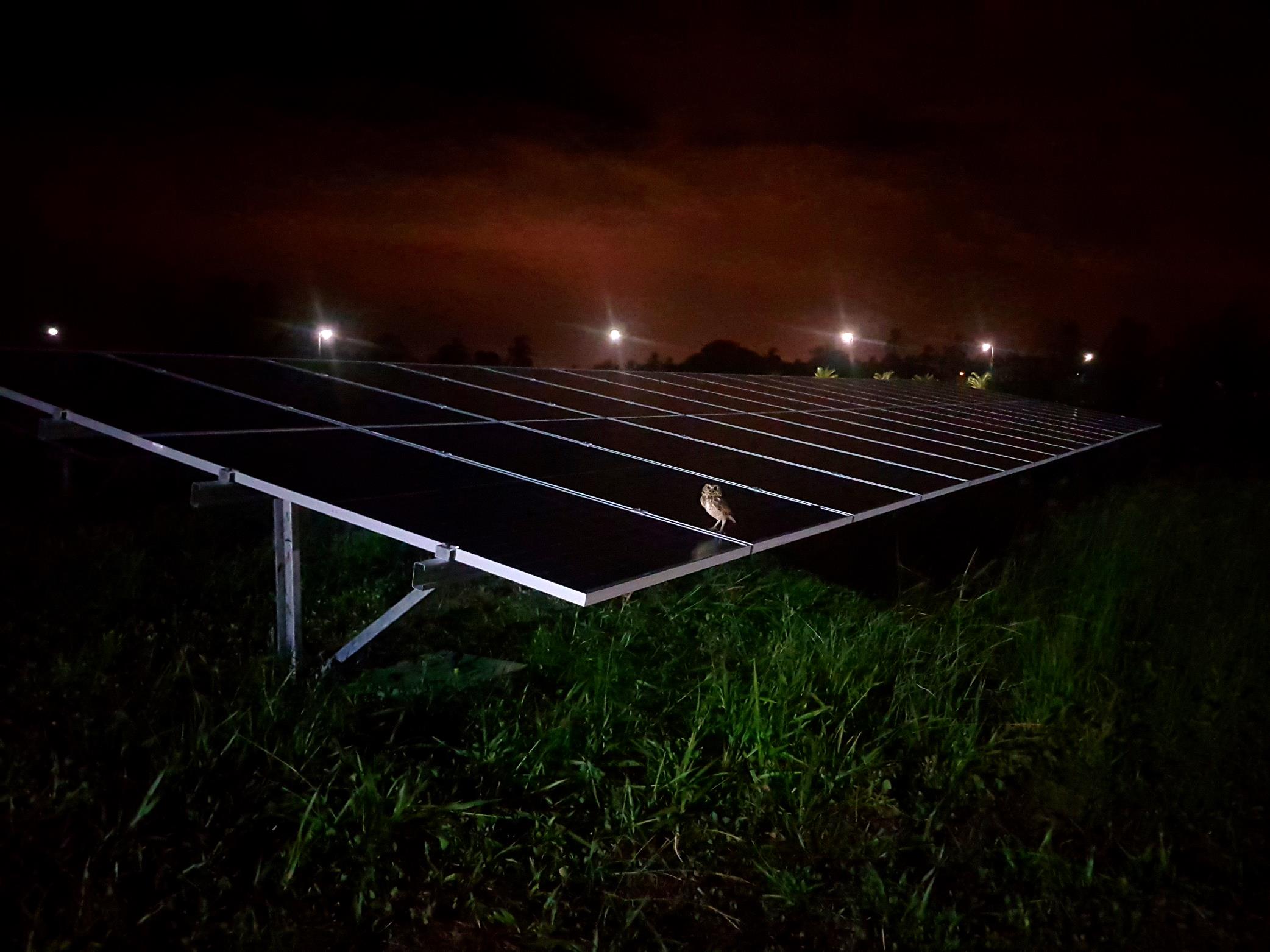 solar_fotovoltaica/2.3_Transladar_Curvas_IV_para_STC.ipynb at master ...