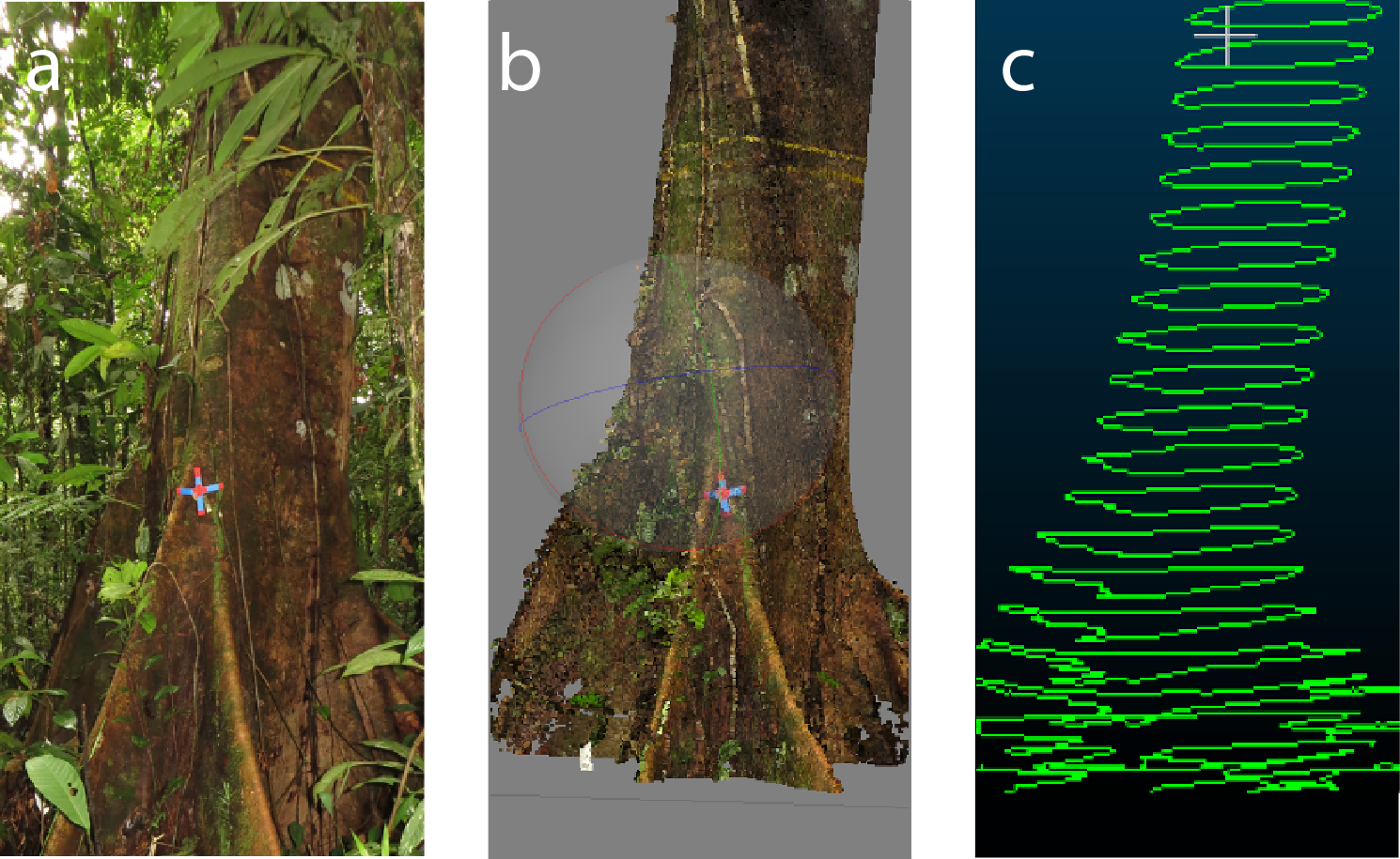 GitHub - kccushman/TaperData: Analysis of field data to compare ...