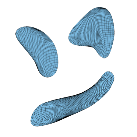 GitHub - wuyx5/Elastic-Shape-Analysis-PTSD: Codes, supplementary materials, and visualization ...