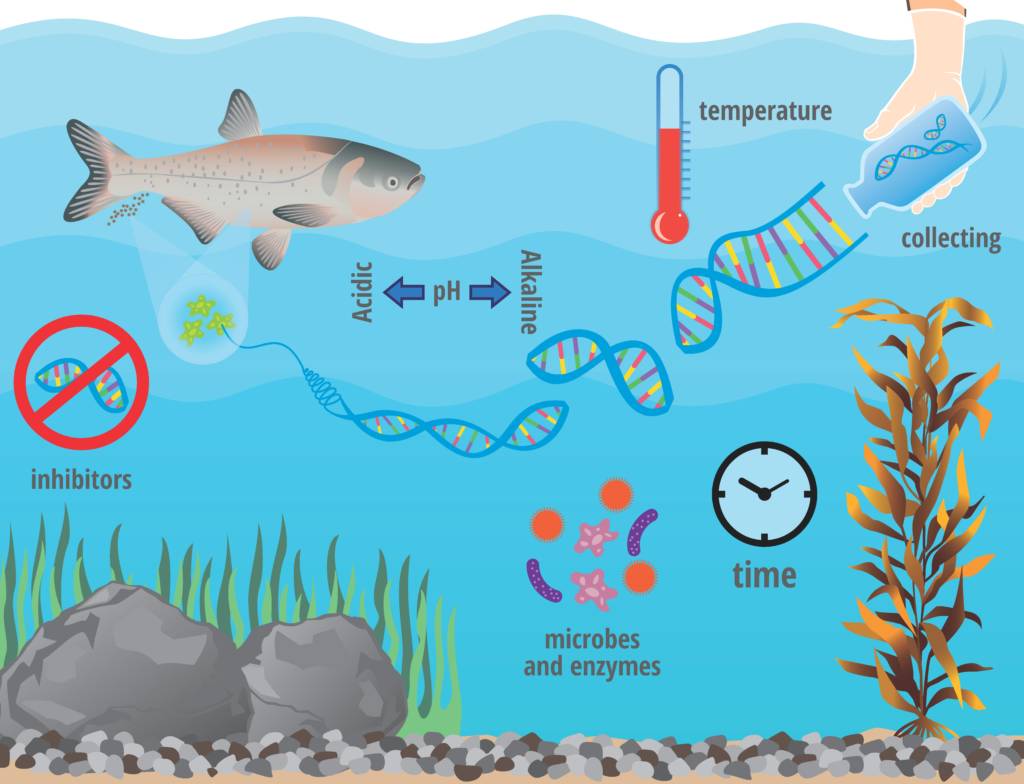 biology · GitHub Topics · GitHub