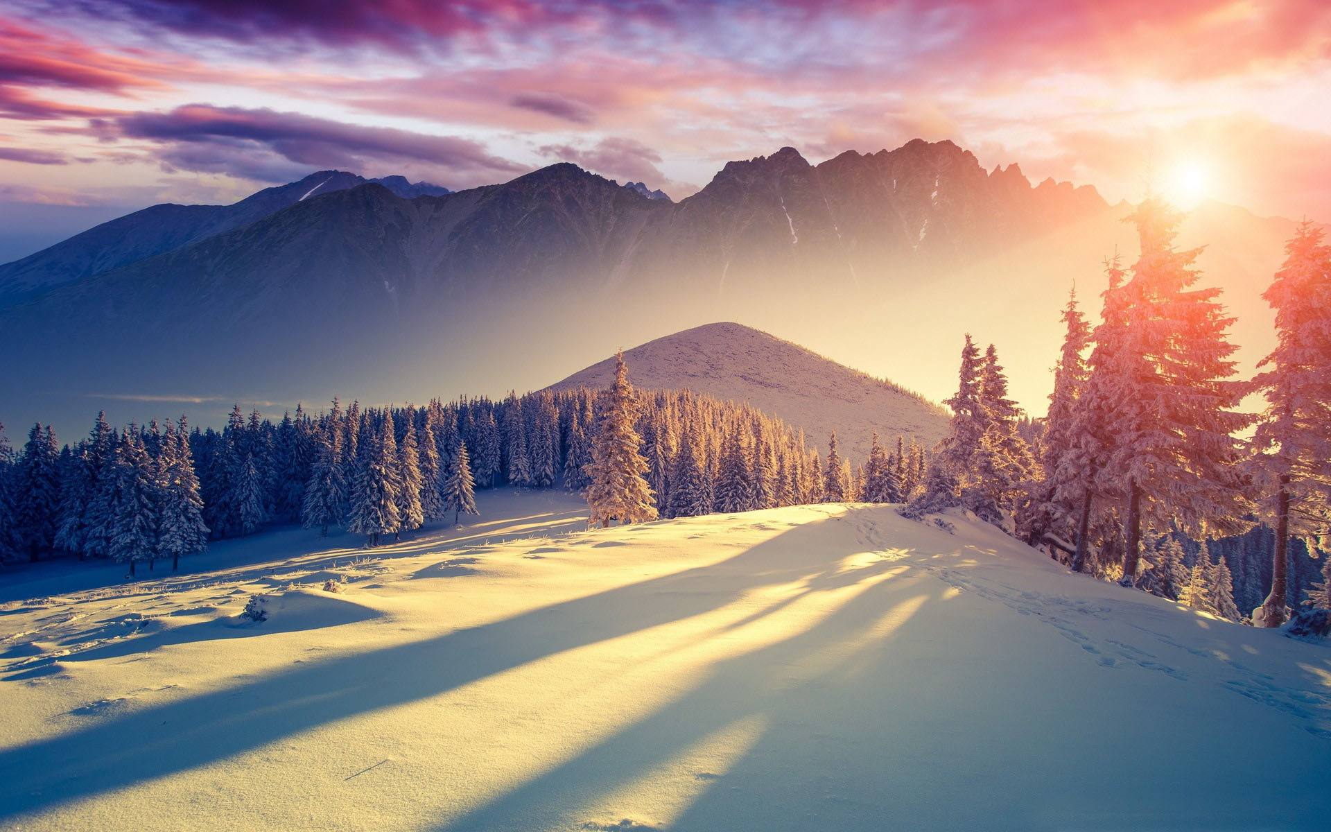 GitHub - ansheng7758/ConsoleApp1