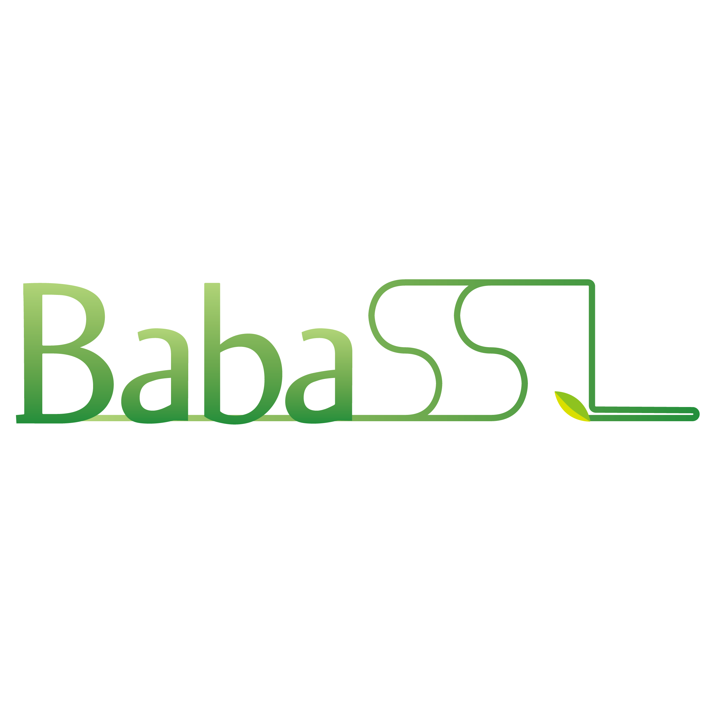 Github Tongsuo Project Babassl Github Io Website Of Babassl