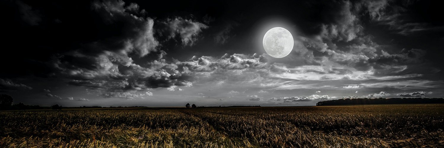 GitHub - dFed-finance/Introduction: Decentralized Federal Reserve Board ...