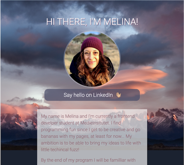 GitHub - melina-kamyab/myPortfolio.github.io: A webpage about me