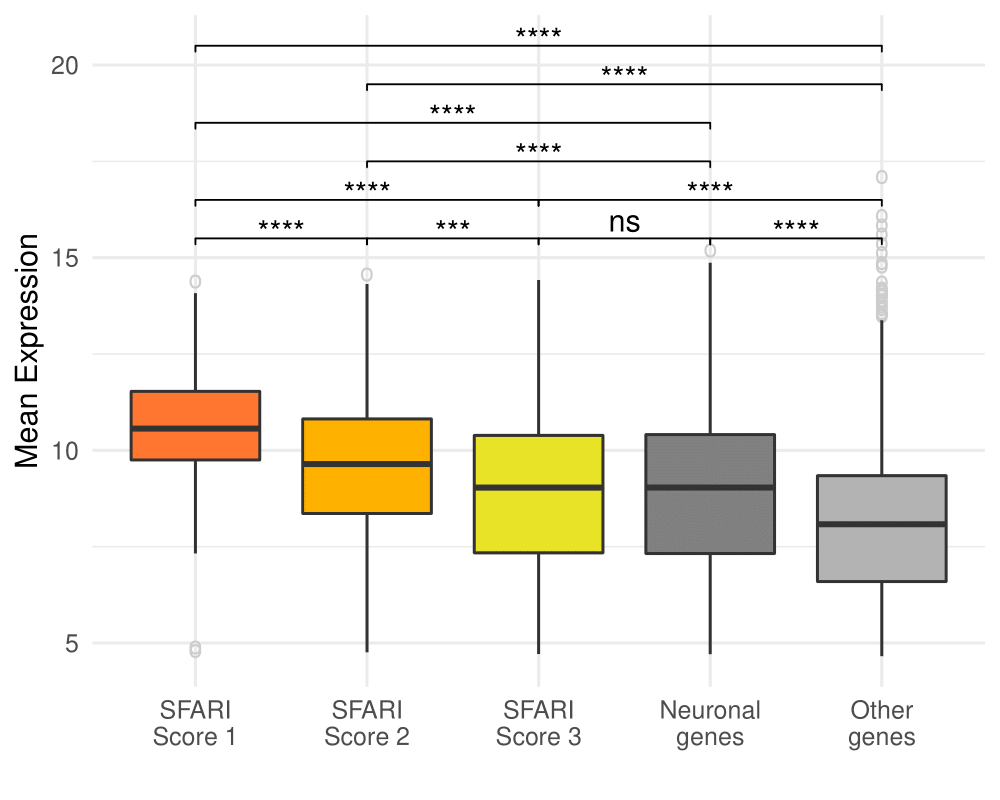 GitHub - magdalena90/SFARI-Genes-and-where-to-find-them