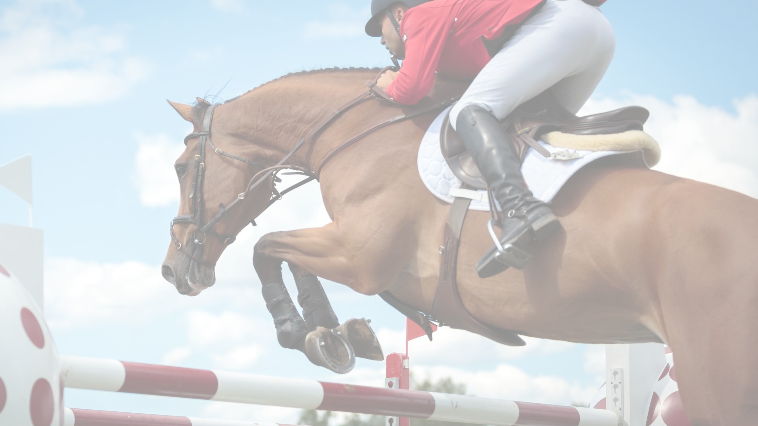 GitHub - swiftyStardust/points_tracker: Points Tracker is a Ruby ...