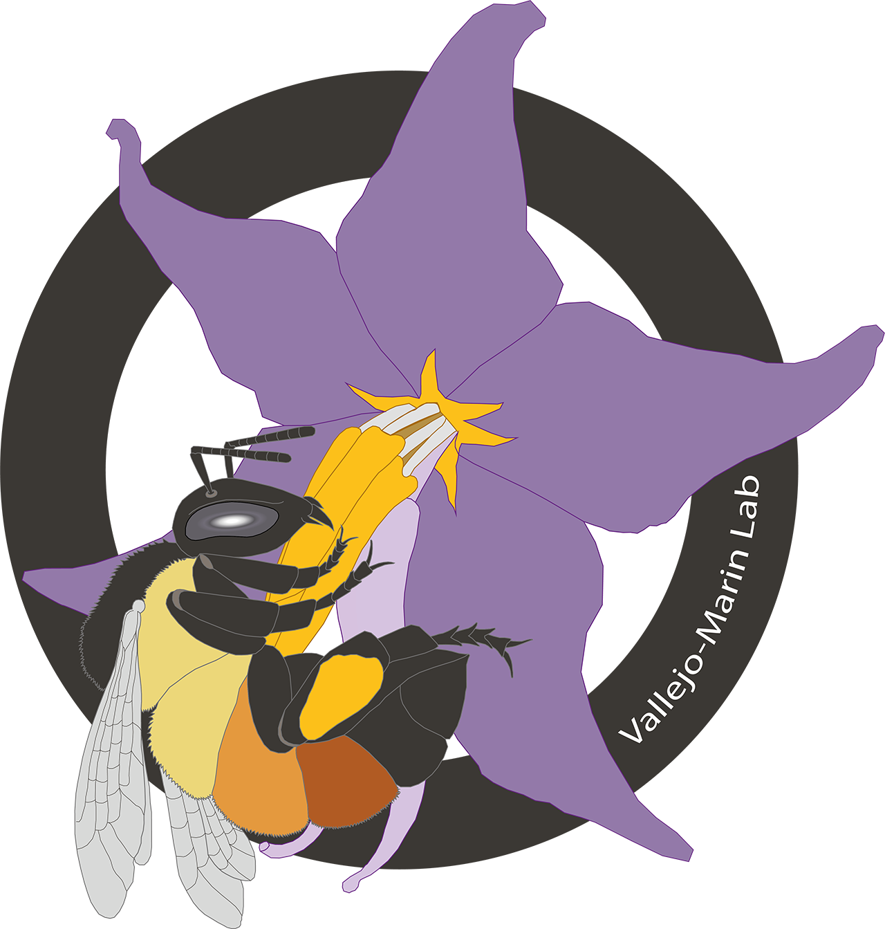 buzz-pollination · GitHub Topics · GitHub