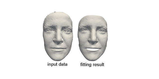 Github Timobolkart Templatefitting Template Fitting For Non Rigid Mesh Registration Of A 3d