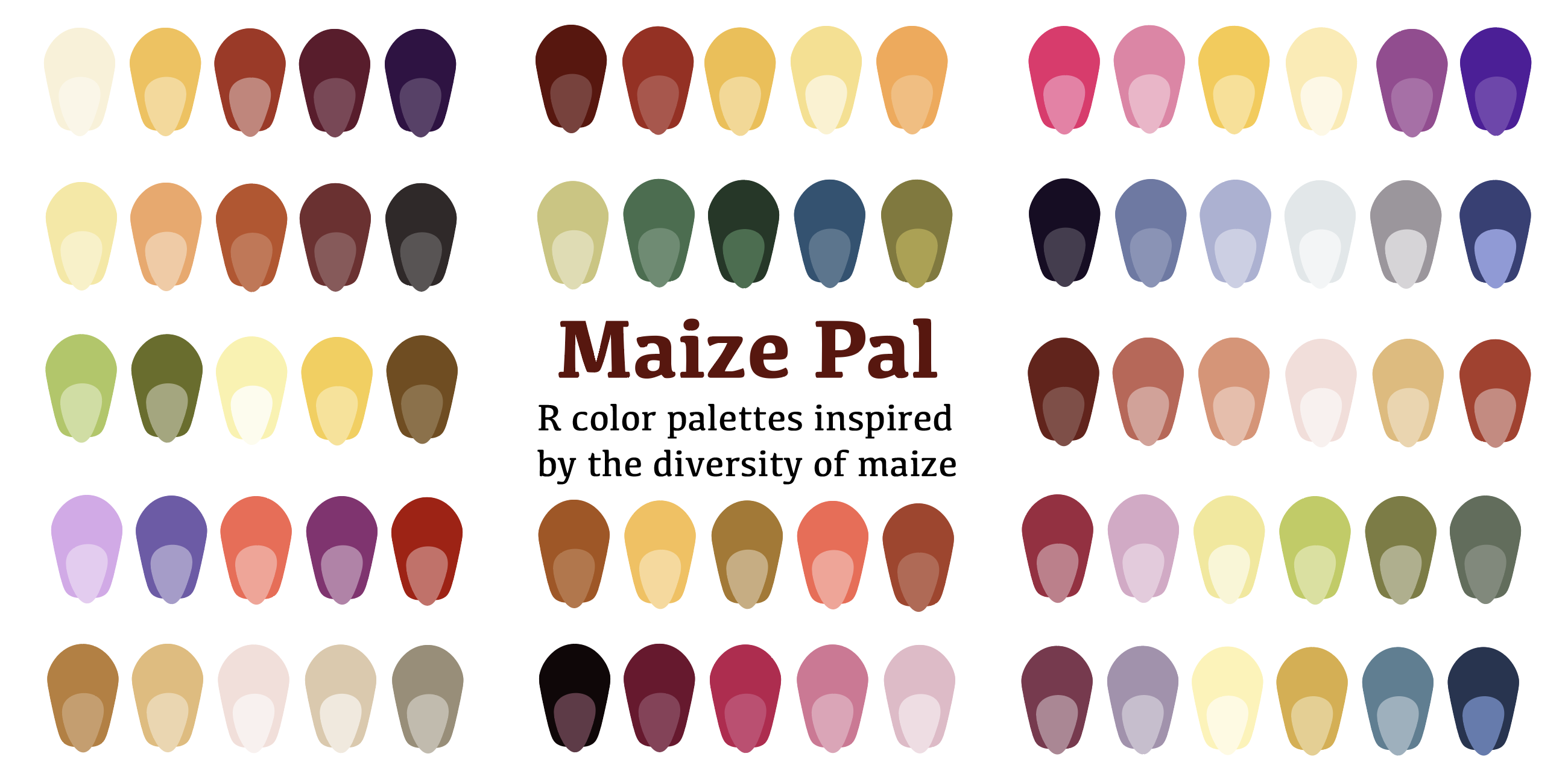 GitHub - AndiKur4/MaizePal: A Maize Color Palette Generator