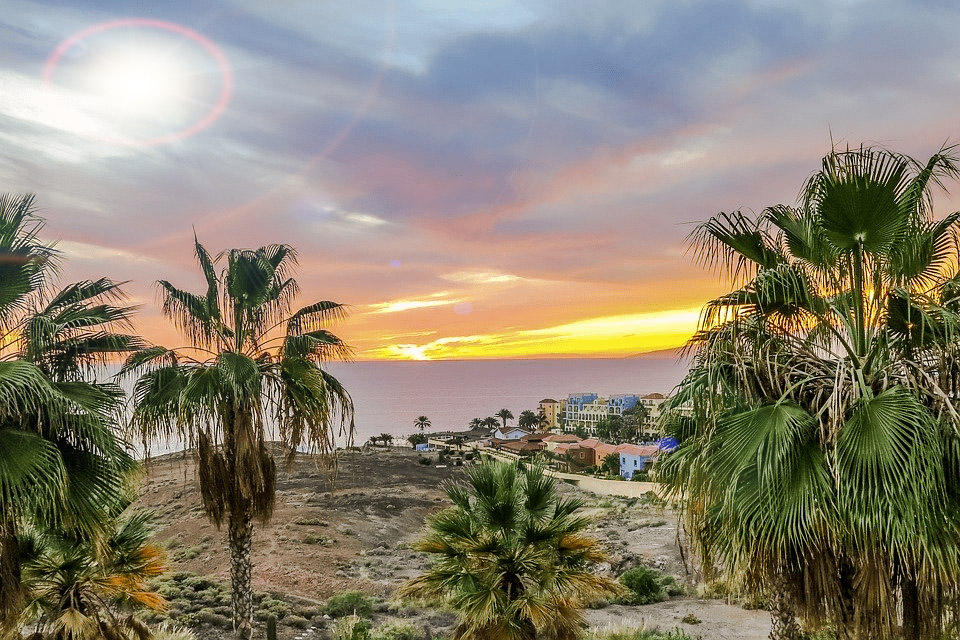 GitHub - World-Unity/helping-hand