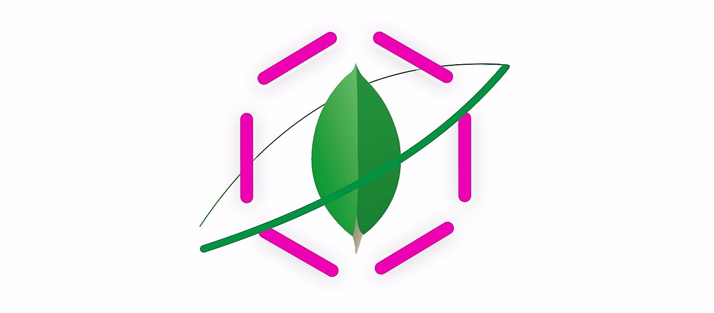 Github Vassalloandrea Express Template Express Application Template