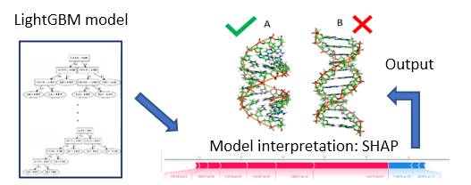 GitHub - abhijitmjj/DNA-structure-prediction: Accurate Prediction of ...