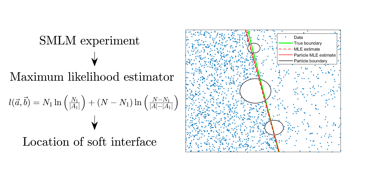 GitHub - DLHvdH/SMLM_interface_detection: Code for detecting interfaces ...
