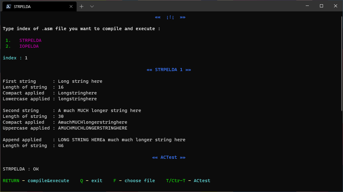 GitHub - flevi29/UBB-NASM-Runner: Run / test / compile your assembly ...