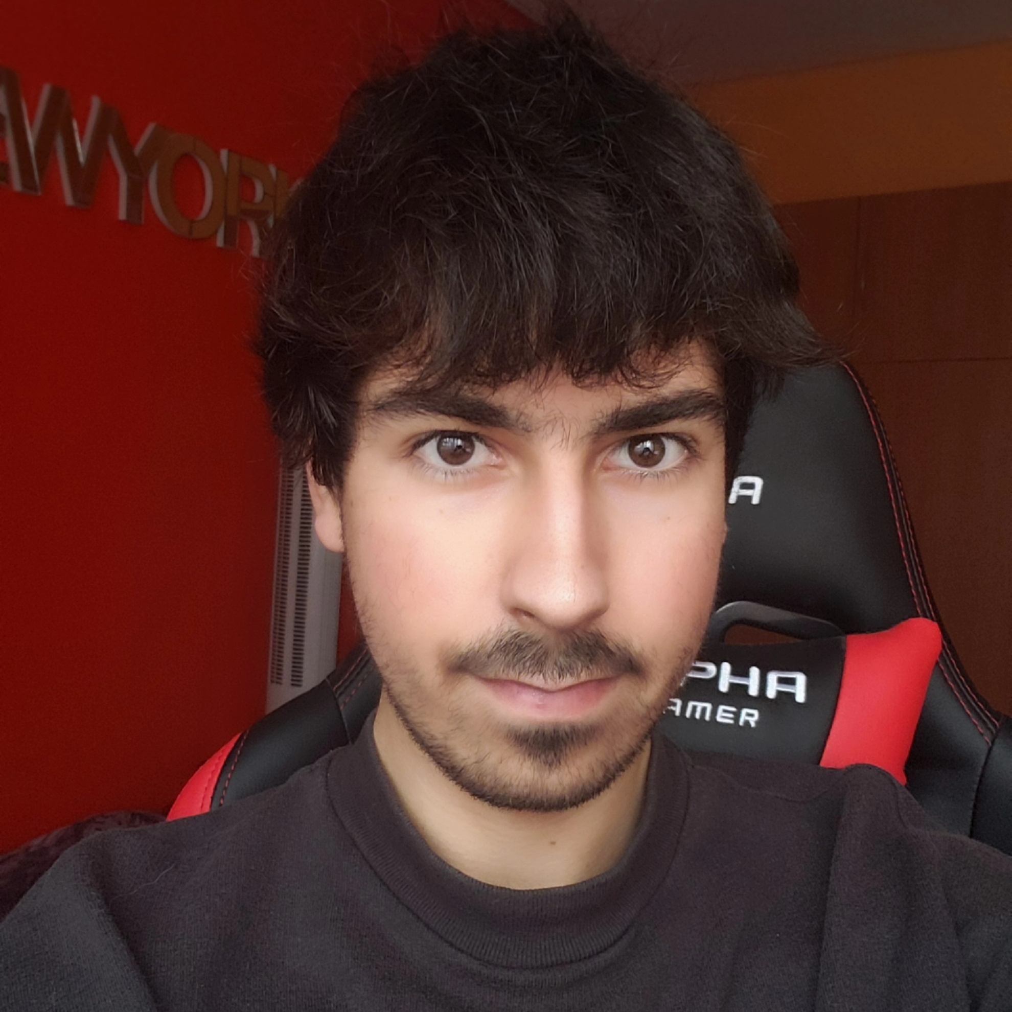 GitHub - Opty-Projects/IMG-Steganography: IMG Steganography using Random LSBs developed as a 1st ...