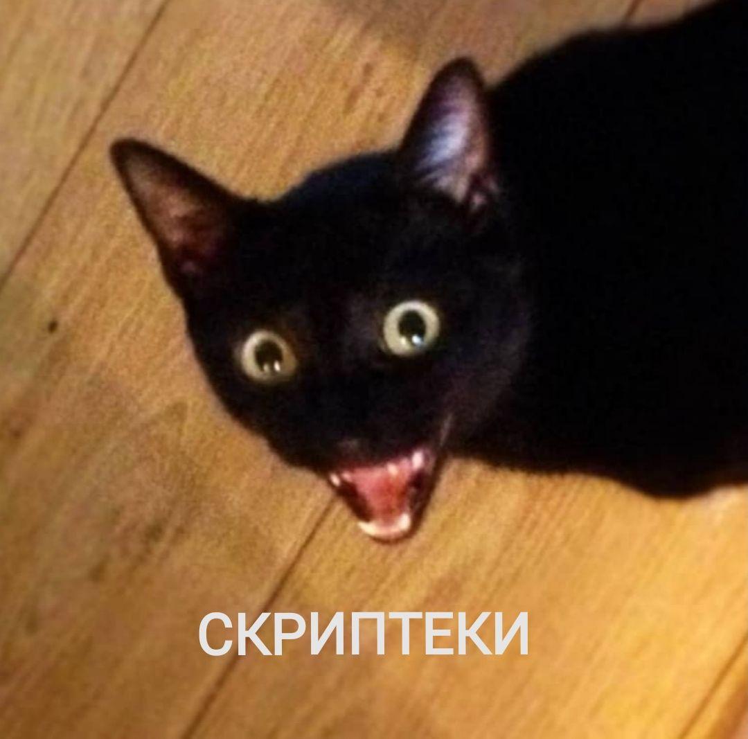 Github Zataxon Work Skripts All Skripts That Couls Be Useful For