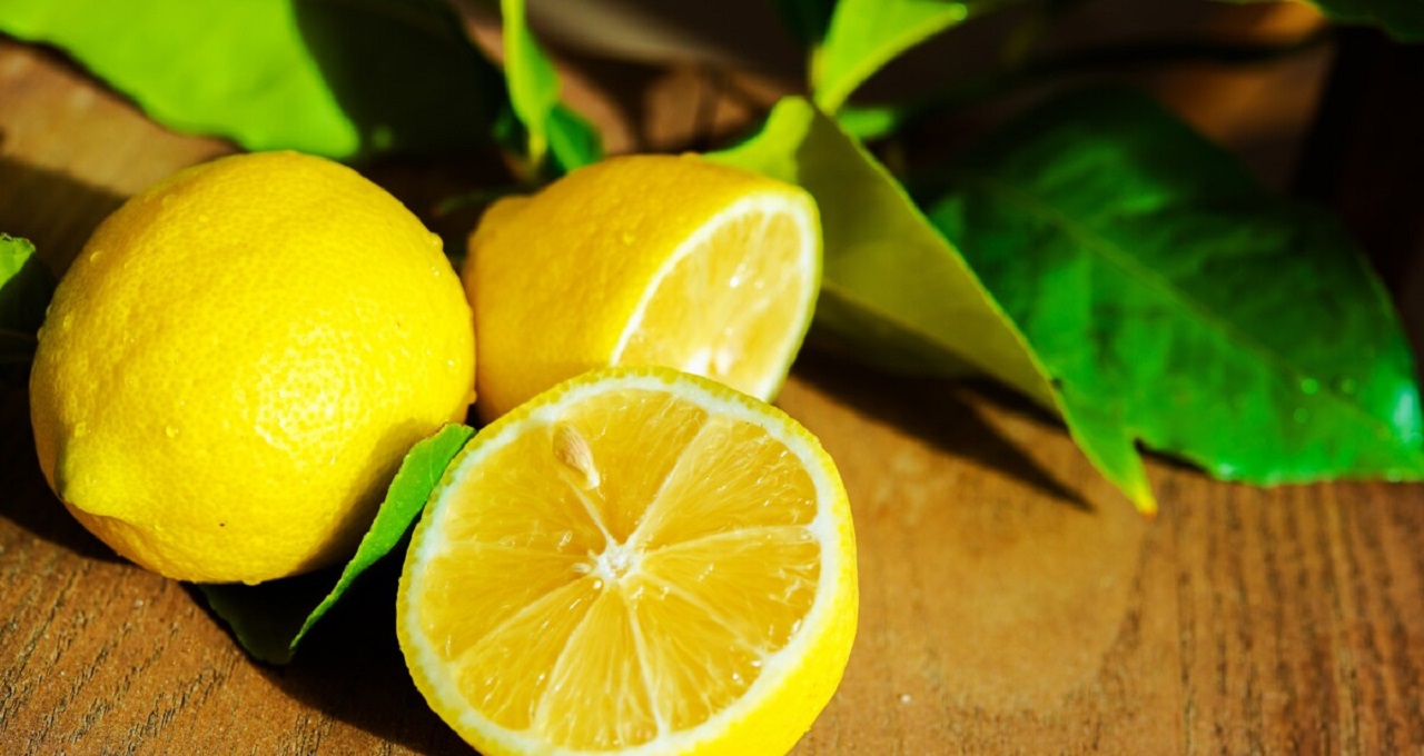 GitHub - matdrik/lemon