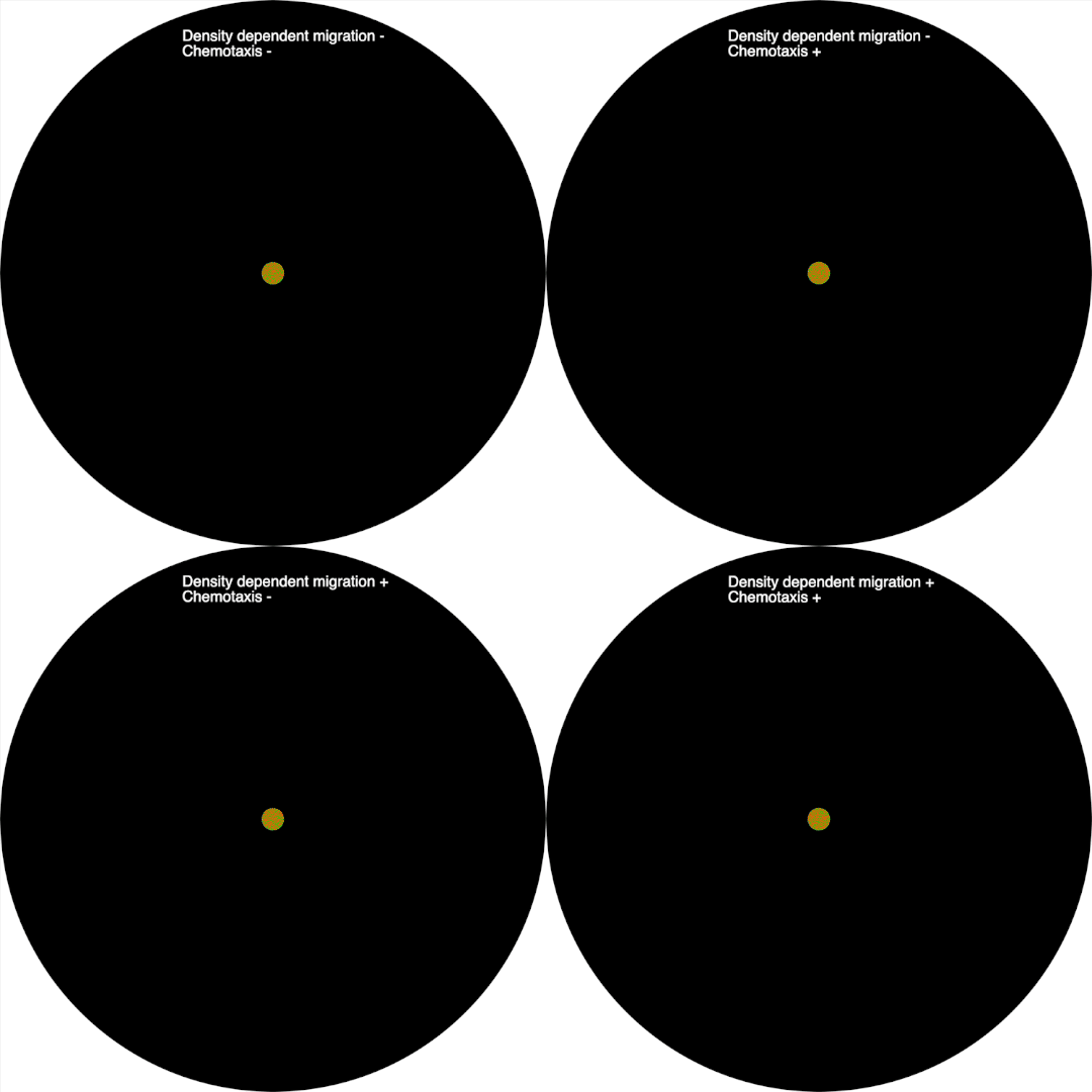 GitHub - TaoLee0510/A-Tick-Tock-model-of-cancer-growth: Cancer growth ...