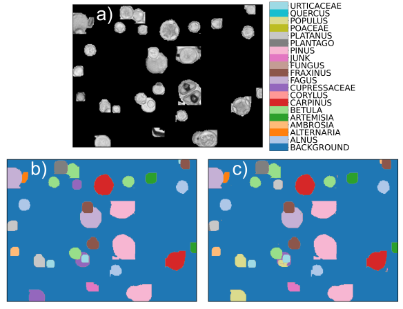 GitHub - mihaiboldeanu/POMO_Pollen_Classification: Scripts to train an CNN to classify pollen ...