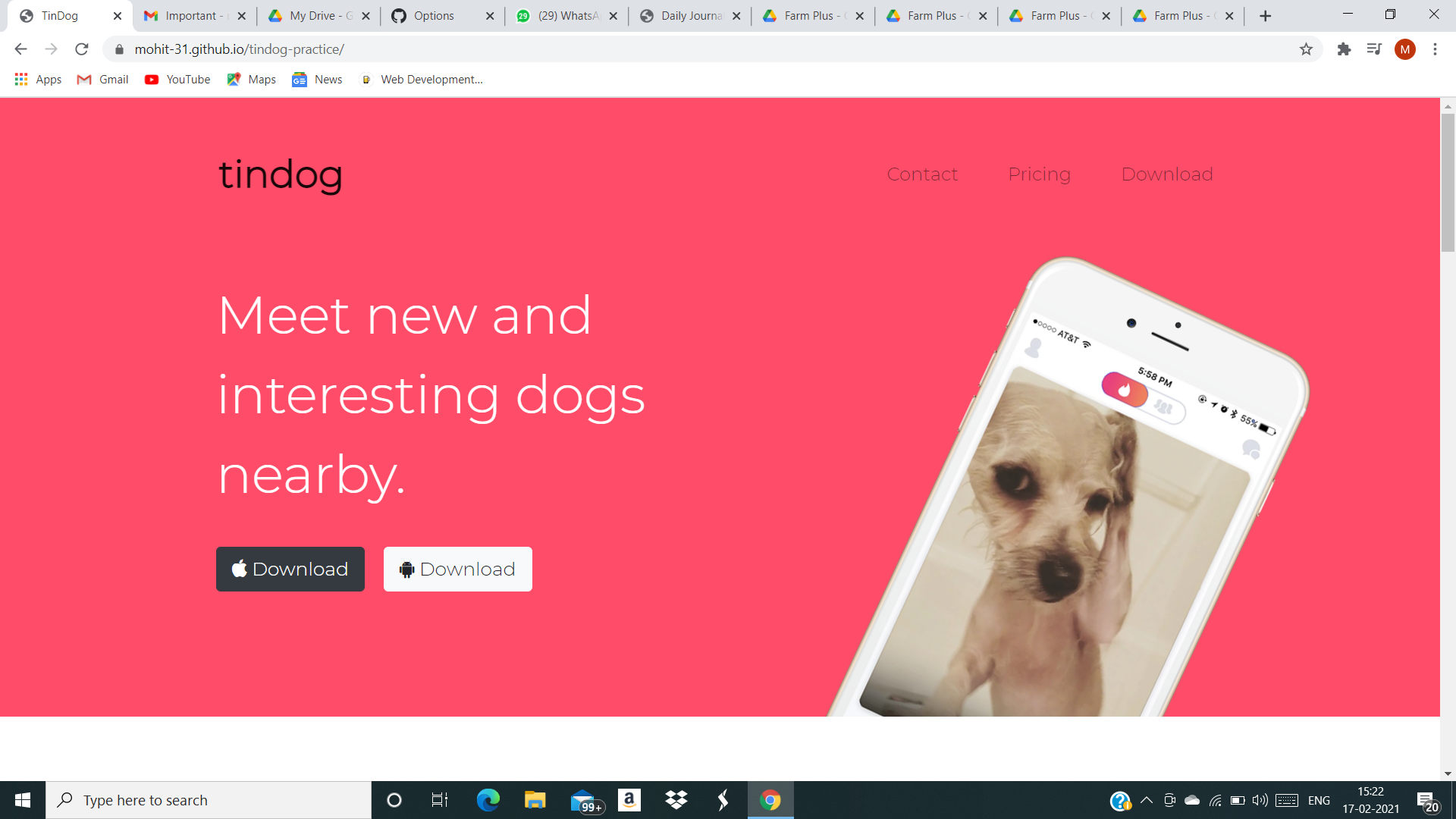 GitHub - mohit-31/tindog-practice