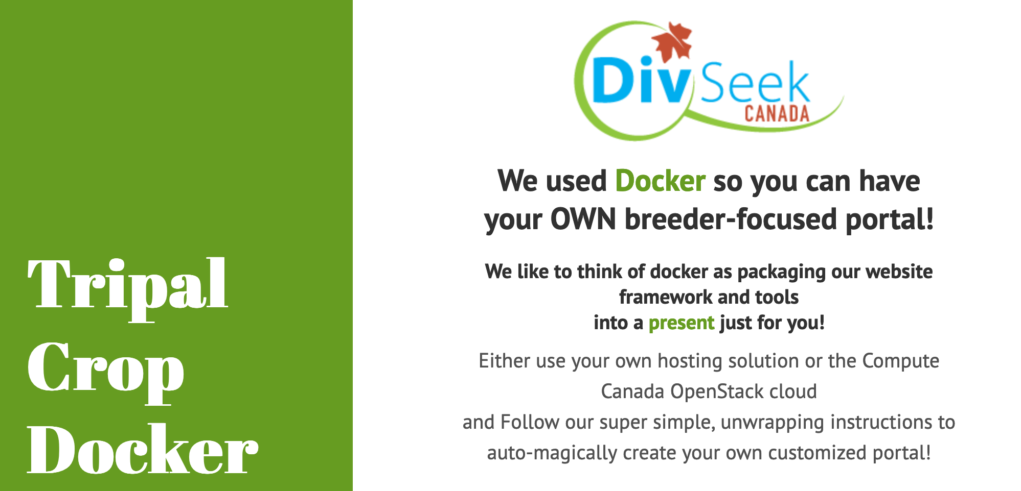 divseek-canada · GitHub Topics · GitHub