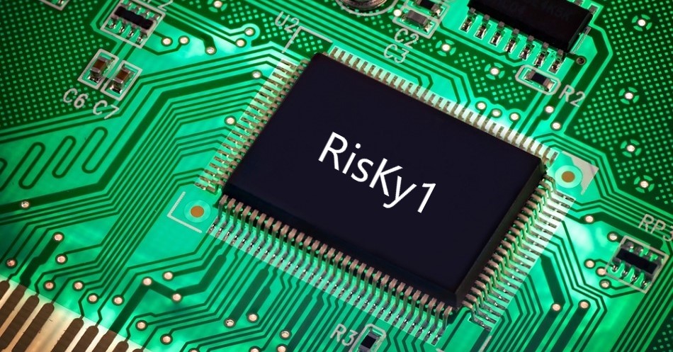 GitHub - weedmank/RisKy1: Repository for the RisKy1 RISC-V ISA based ...