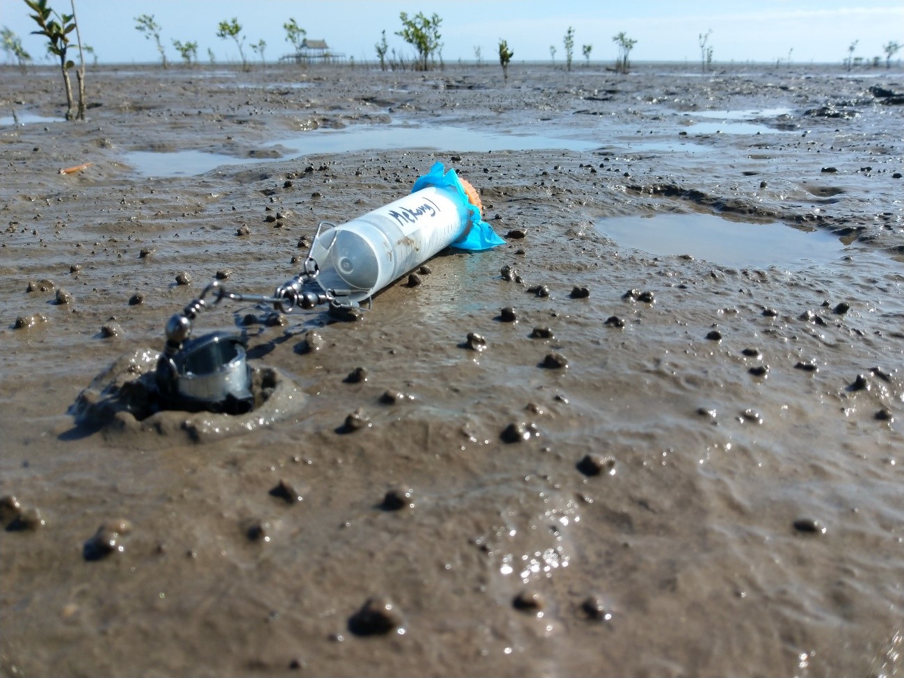GitHub - thorstenbalke/Mini-Buoy: Mini Buoy application for mangrove ...