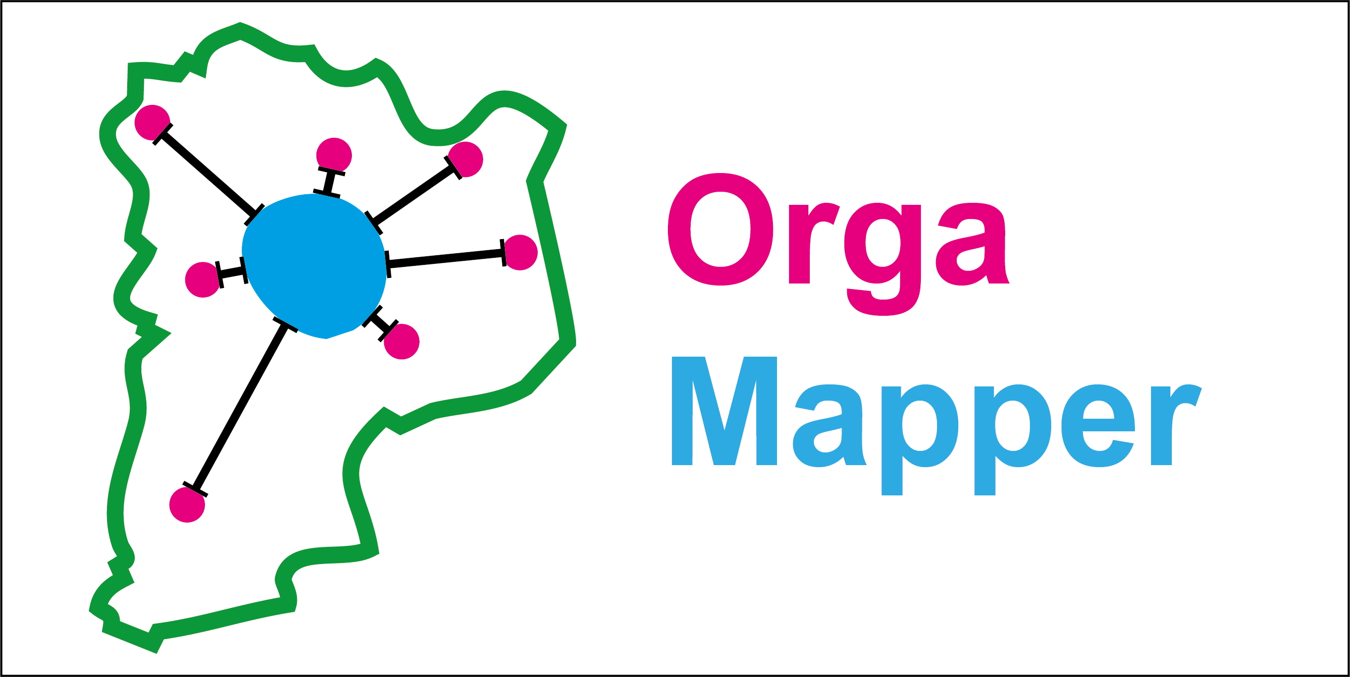 GitHub - schmiedc/OrgaMapper_Rshiny: Rshiny workflow for processing OrgaMapper results