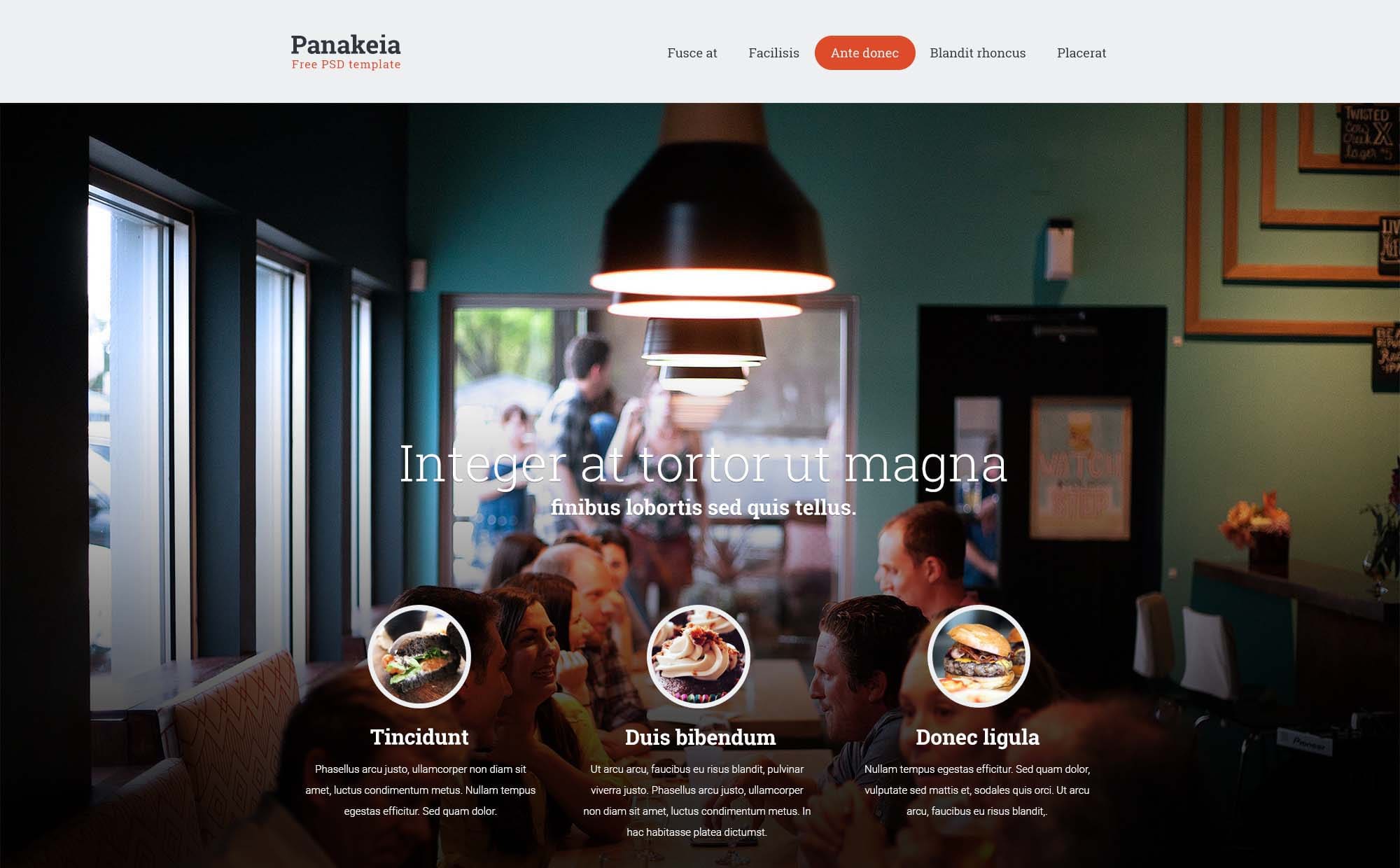 GitHub - alnahian2003/panakeia: Panakeia is a very simple single page ...