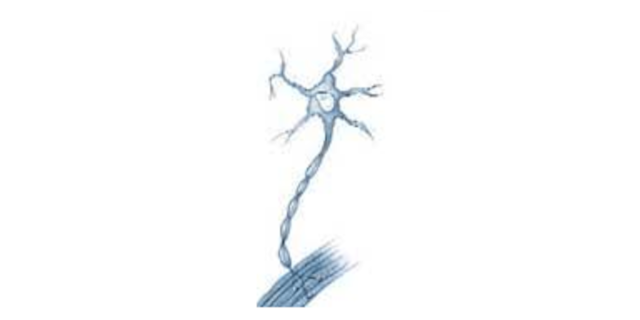 GitHub - luide/ELA: ELA - Esclerose Lateral Amiotrófica
