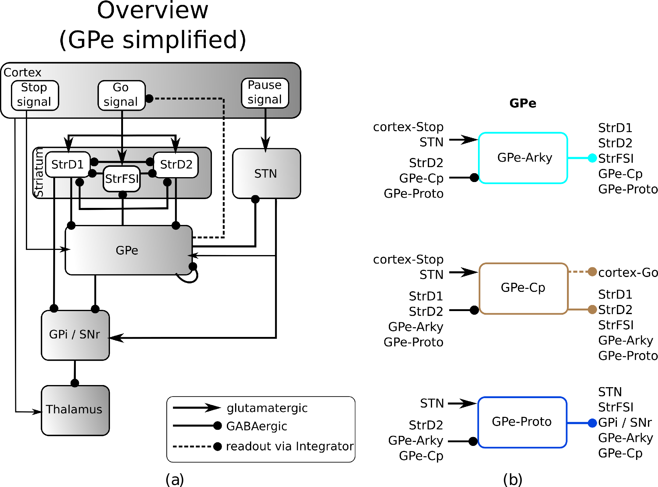 GitHub - Olimaol/stopsignaltask_BG: Package with main scripts of the ...