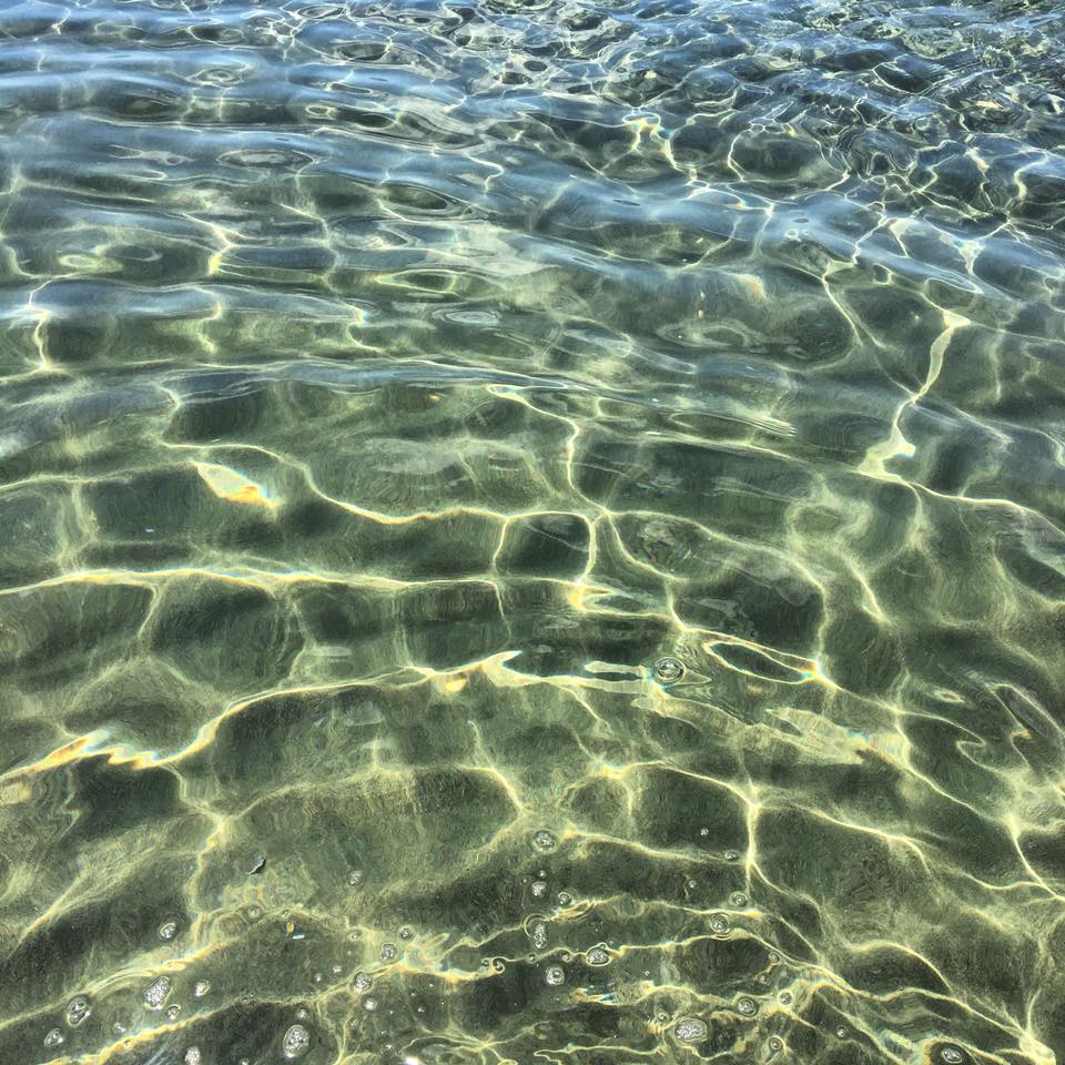 GitHub - basti4nos/asknights: Adapt, change, evolve