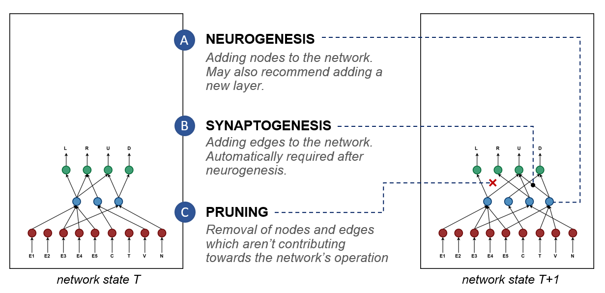 GitHub - Nu-AI/RelationalNeurogenesis: Relational Neurogenesis is a framework that supports ...