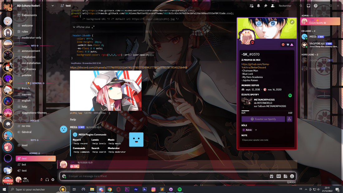 GitHub - Soma-Yukihira/BetterDiscord: Themes for Discord