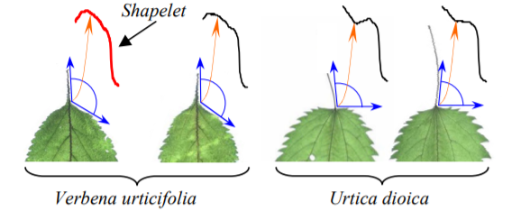 Github Vivekmahatolearningshapelet Utilising Learning Shapelets For Time Series Classification