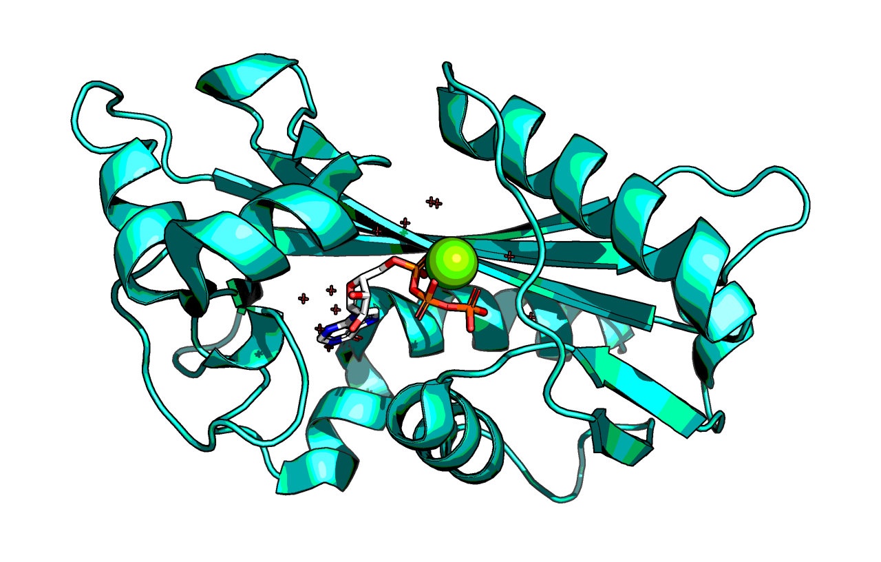 GitHub - matteoferla/ITPA_analysis: Analysis of variants of ITPA (no ...