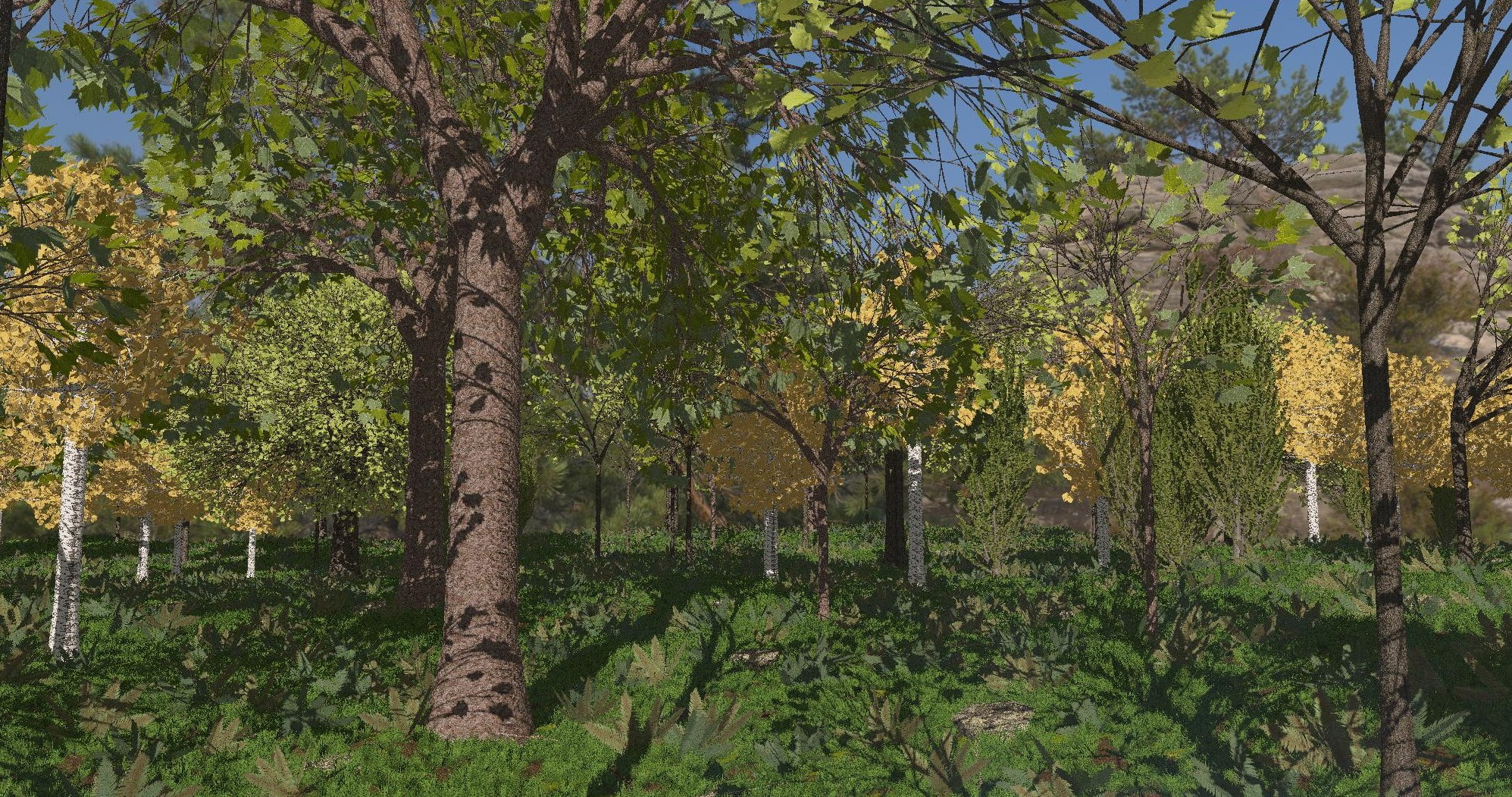 GitHub - callumnewlands/ForestGenerator: An application for generating ...