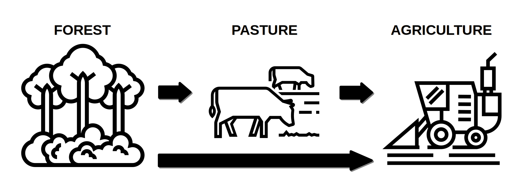 GitHub - hugotseixas/forest-agri-conversion: Repo containing code to ...