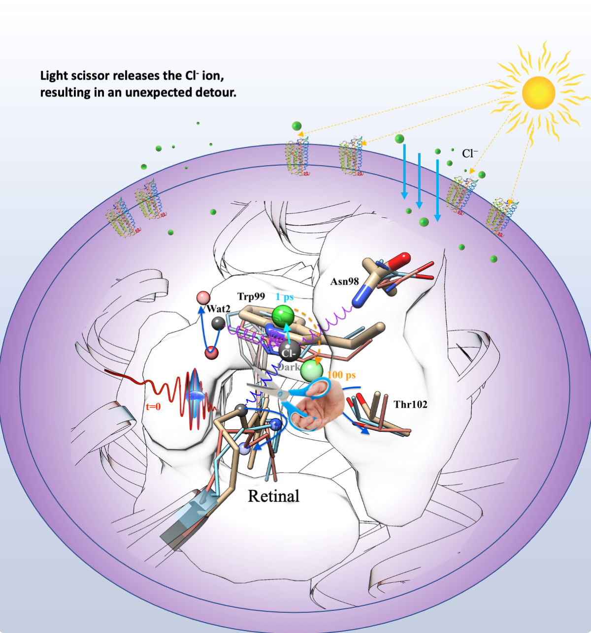 GitHub - LiuLab-CSRC/Clr-Dynamics: Supporting data for the early-stage dynamics of light driven ...