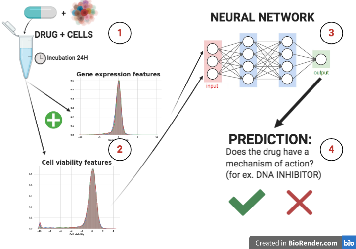 GitHub - Amiiney/MoA_competition: The solution of the mechanism of ...